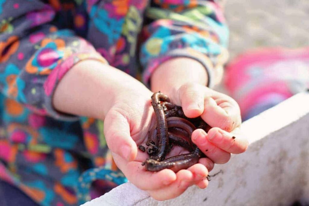 Little Wonders for Threes: Wiggly Worms - Wehr Nature Center
