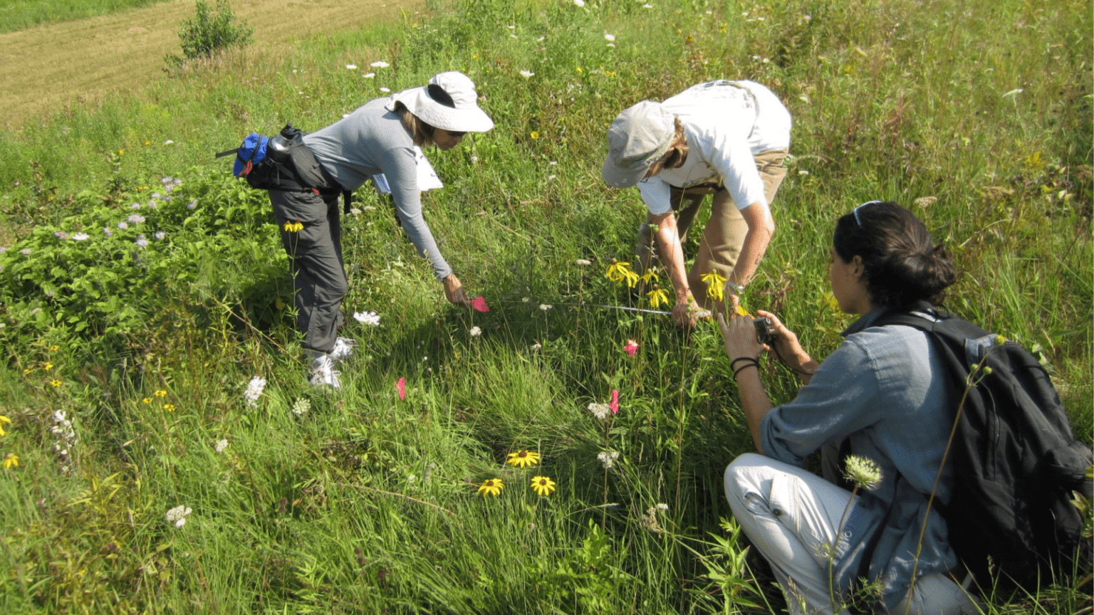 FULL Advanced Master Naturalist: Wisconsin Rare Plant Monitoring ...
