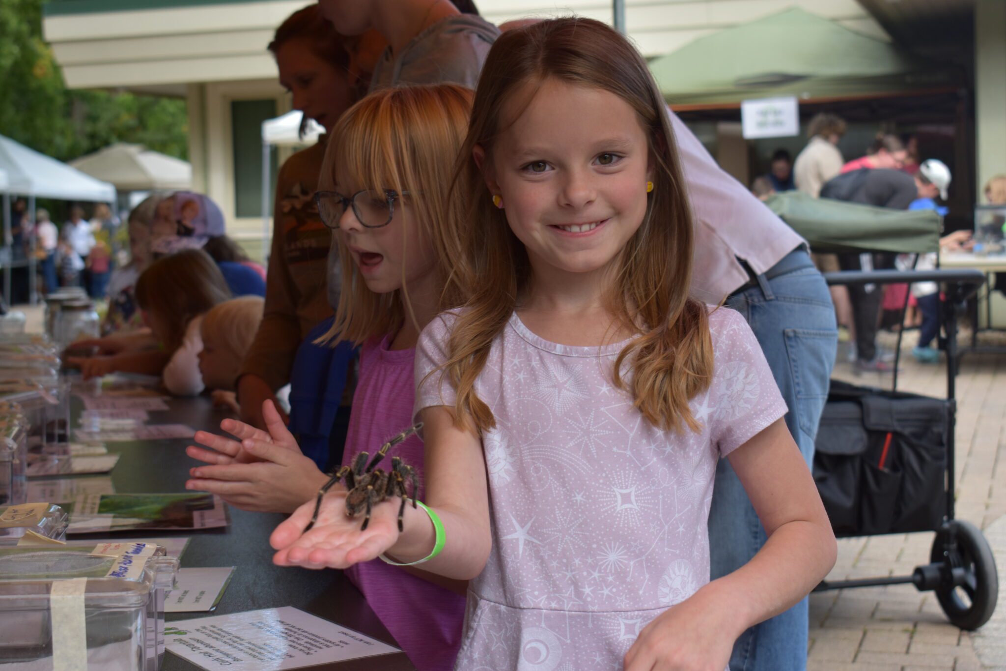 Bug Day - Wehr Nature Center