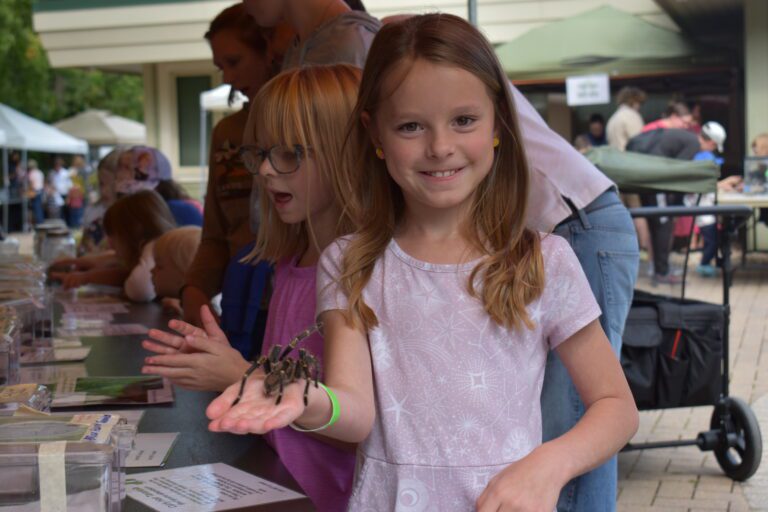 Bug Day - Wehr Nature Center